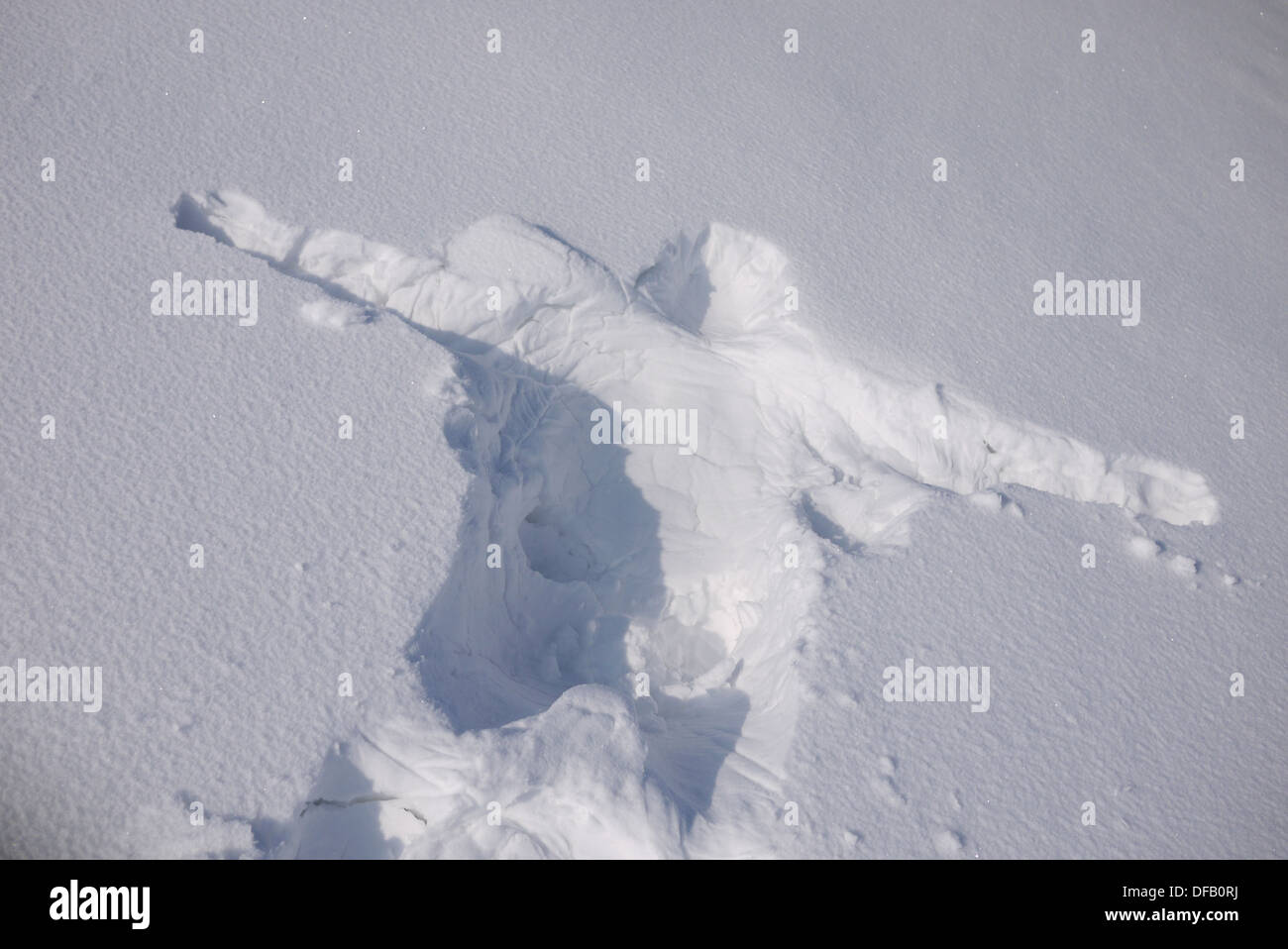 Snow Imprint High Resolution Stock Photography and Images - Alamy
