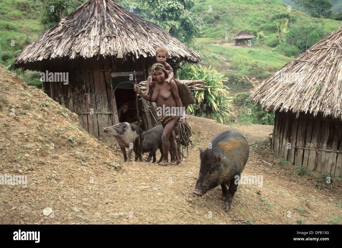 Yali tribe hi-res stock photography and images - Alamy