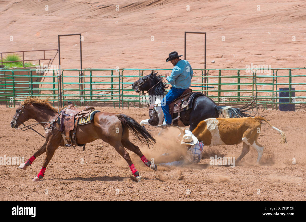 Cowboy riding horse rope gallup hi-res stock photography and images - Alamy