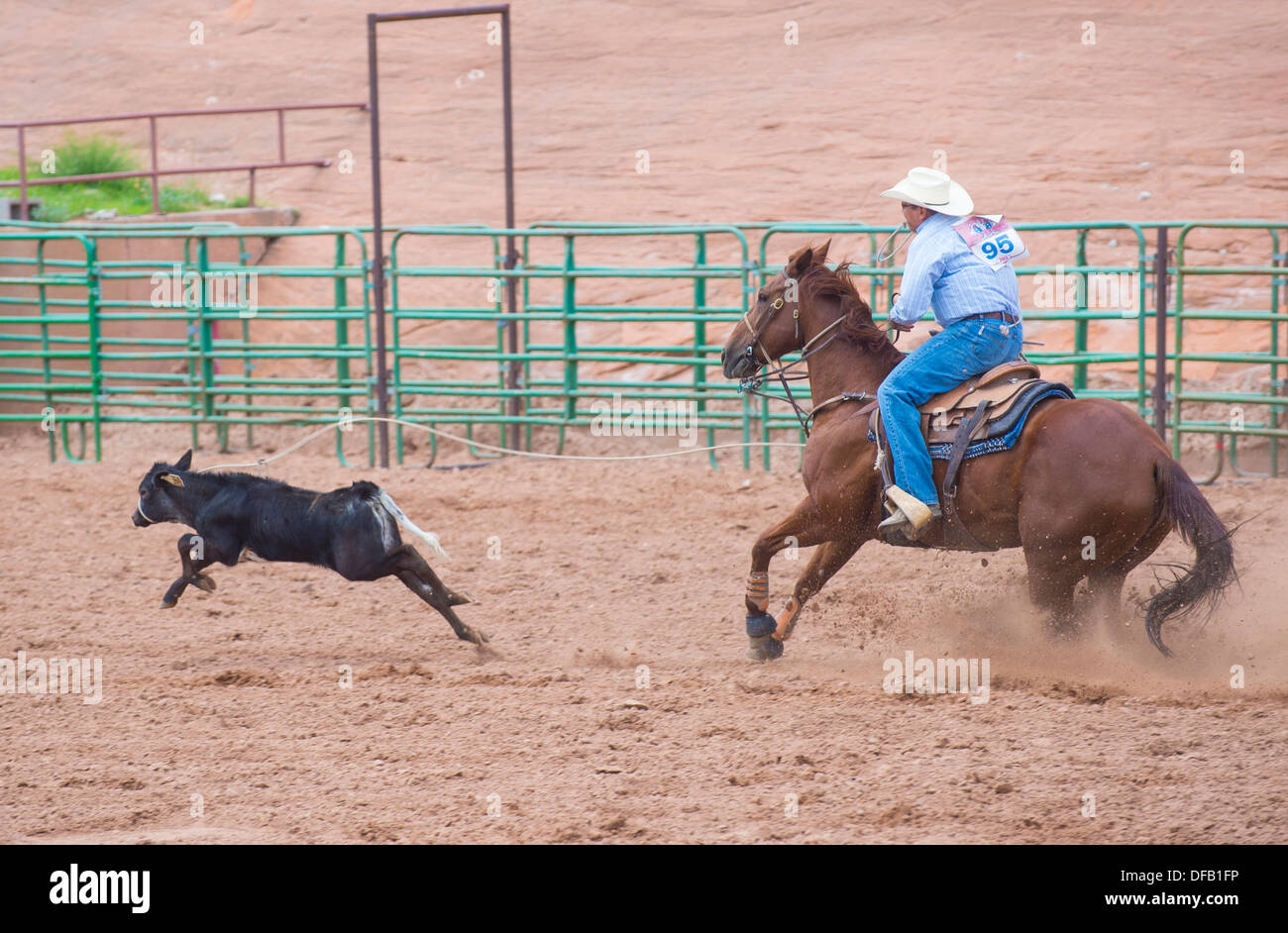 Cowgirl Roping High Resolution Stock Photography and Images - Alamy