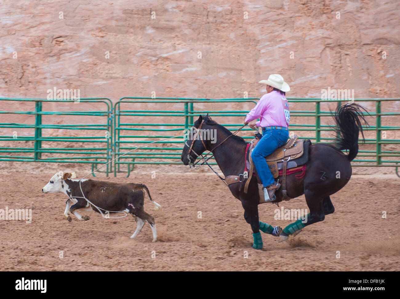 Cowgirl Participates in in a Calf roping Competition at the 92nd annual ...