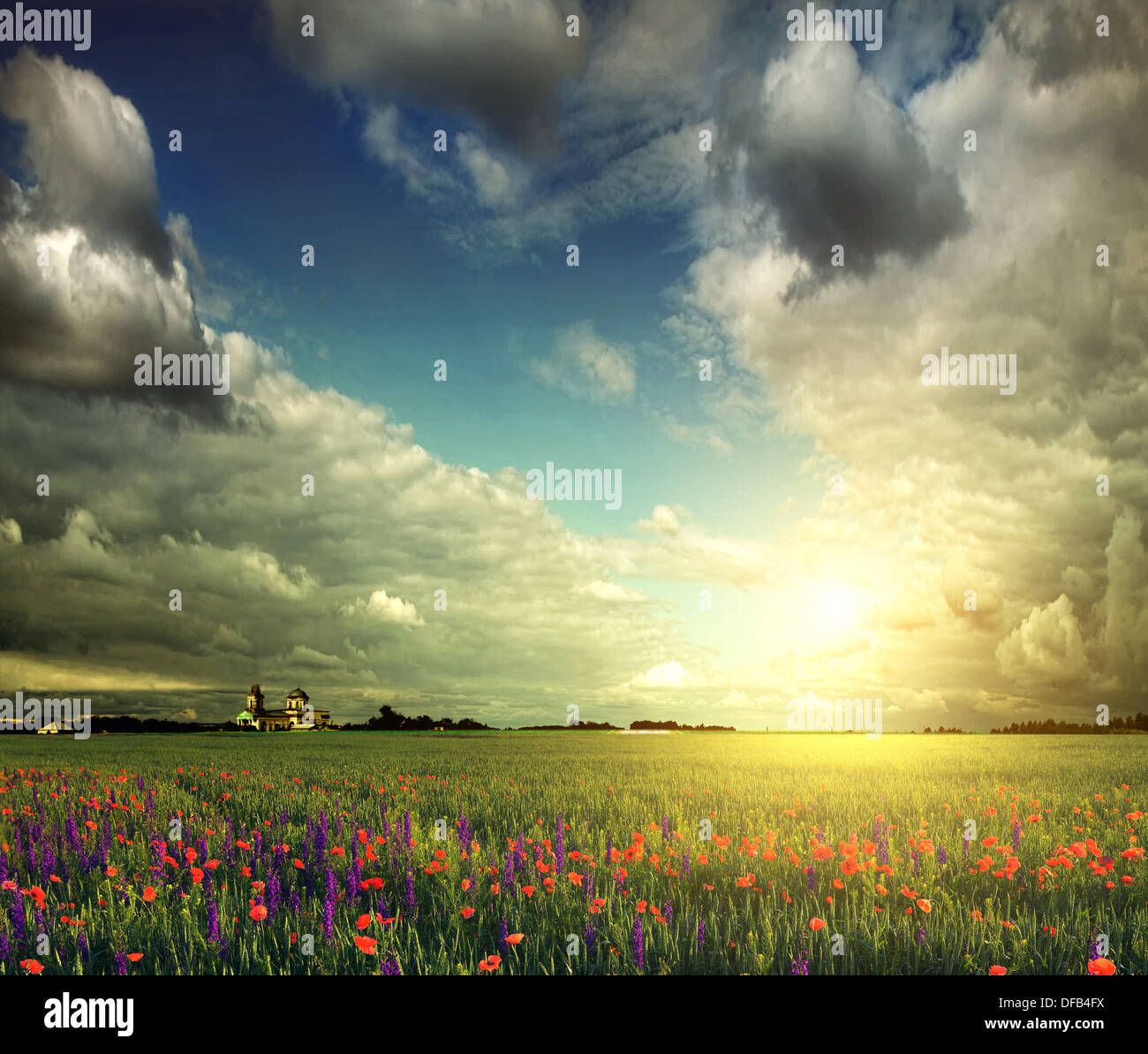 Beautiful spring field hi-res stock photography and images - Alamy