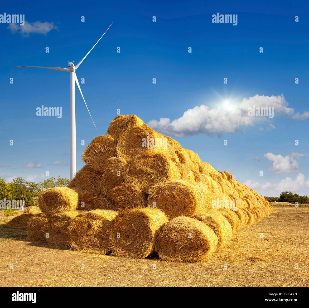 Haystacks on the field. After harvesting. windmill Stock Photo - Alamy