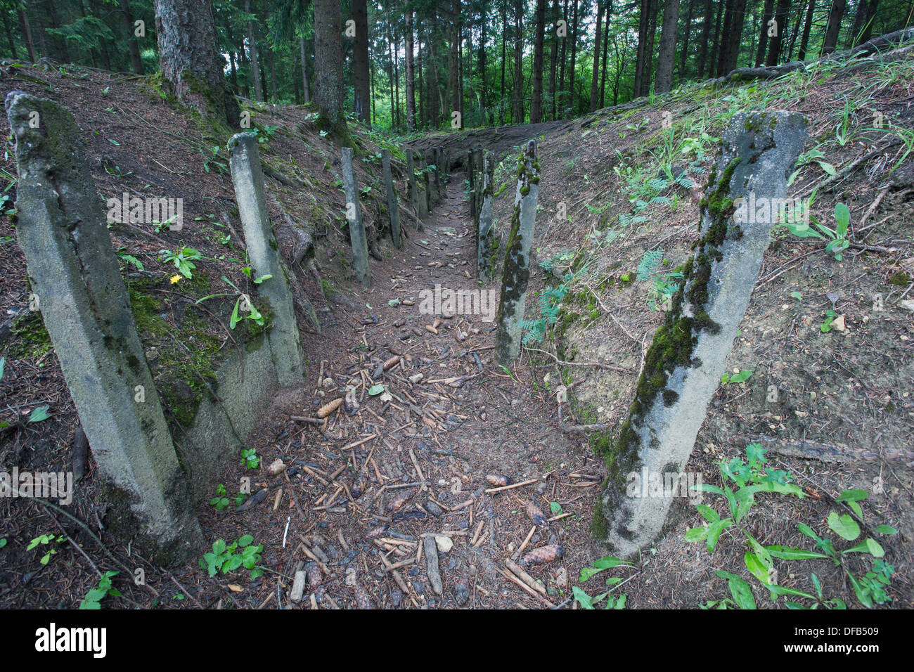 Verdun german shell ww1 hi-res stock photography and images - Alamy
