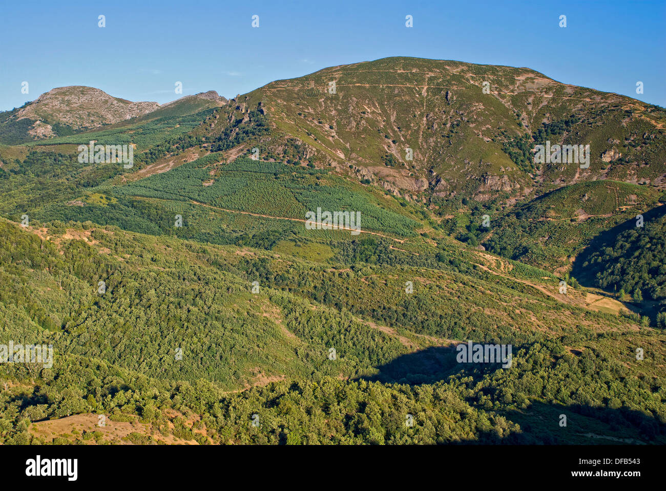 Prioro hi-res stock photography and images - Alamy