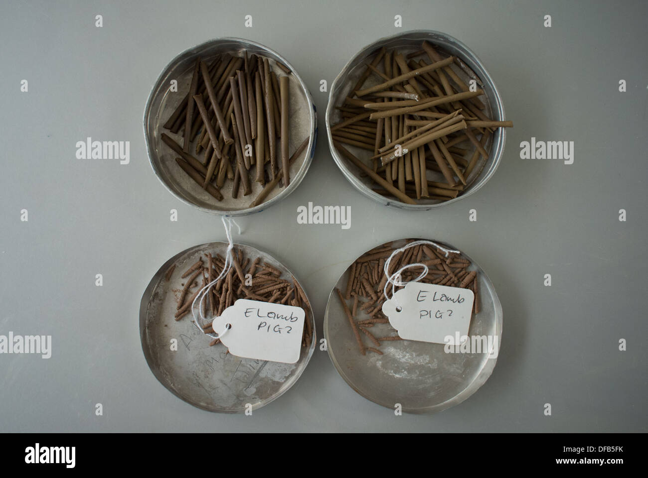 geotechnics plastic limit samples Stock Photo - Alamy
