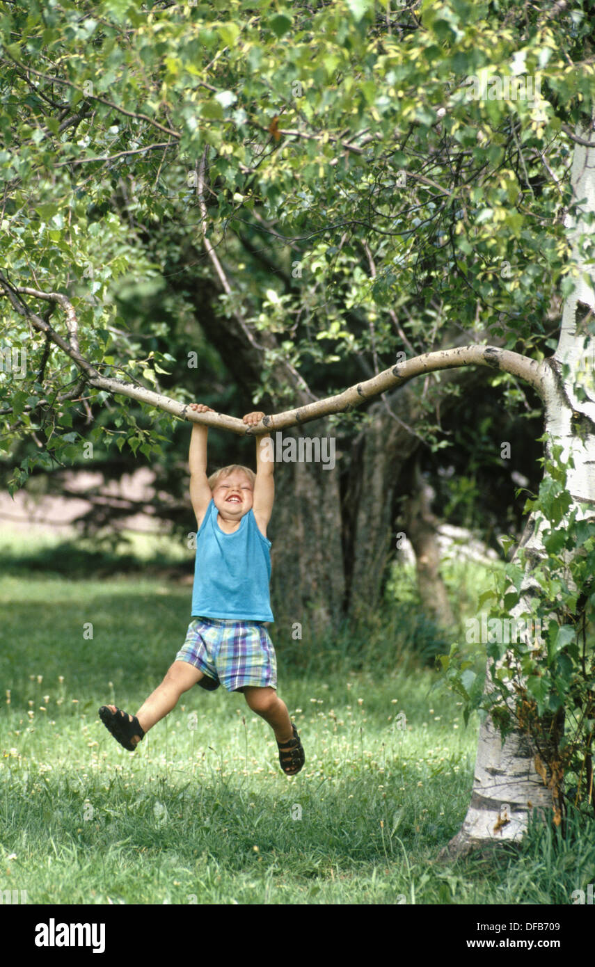 Boy hanging from branch tree hi-res stock photography and images - Alamy