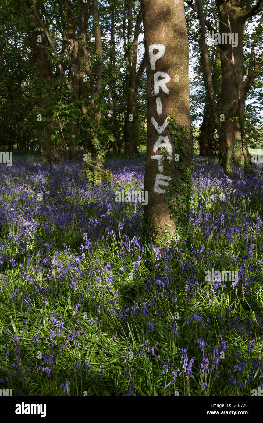 "Private". Unfriendly and unwelcoming sign painted on a tree trunk in a ...