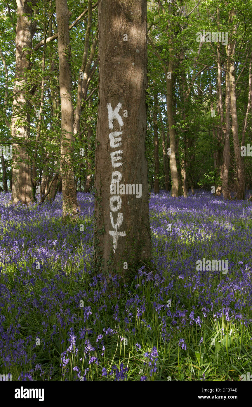 "Keep Out". Unfriendly and unwelcoming sign painted on a tree trunk in ...
