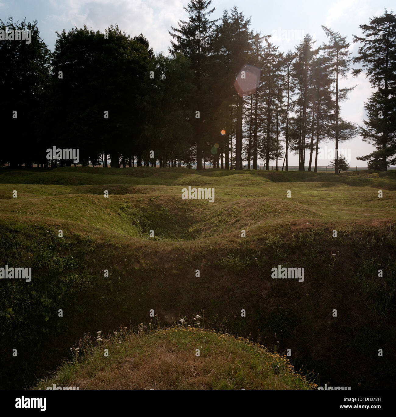Remains of WW1 shell craters and German trenches at the Beaumont-Hamel ...