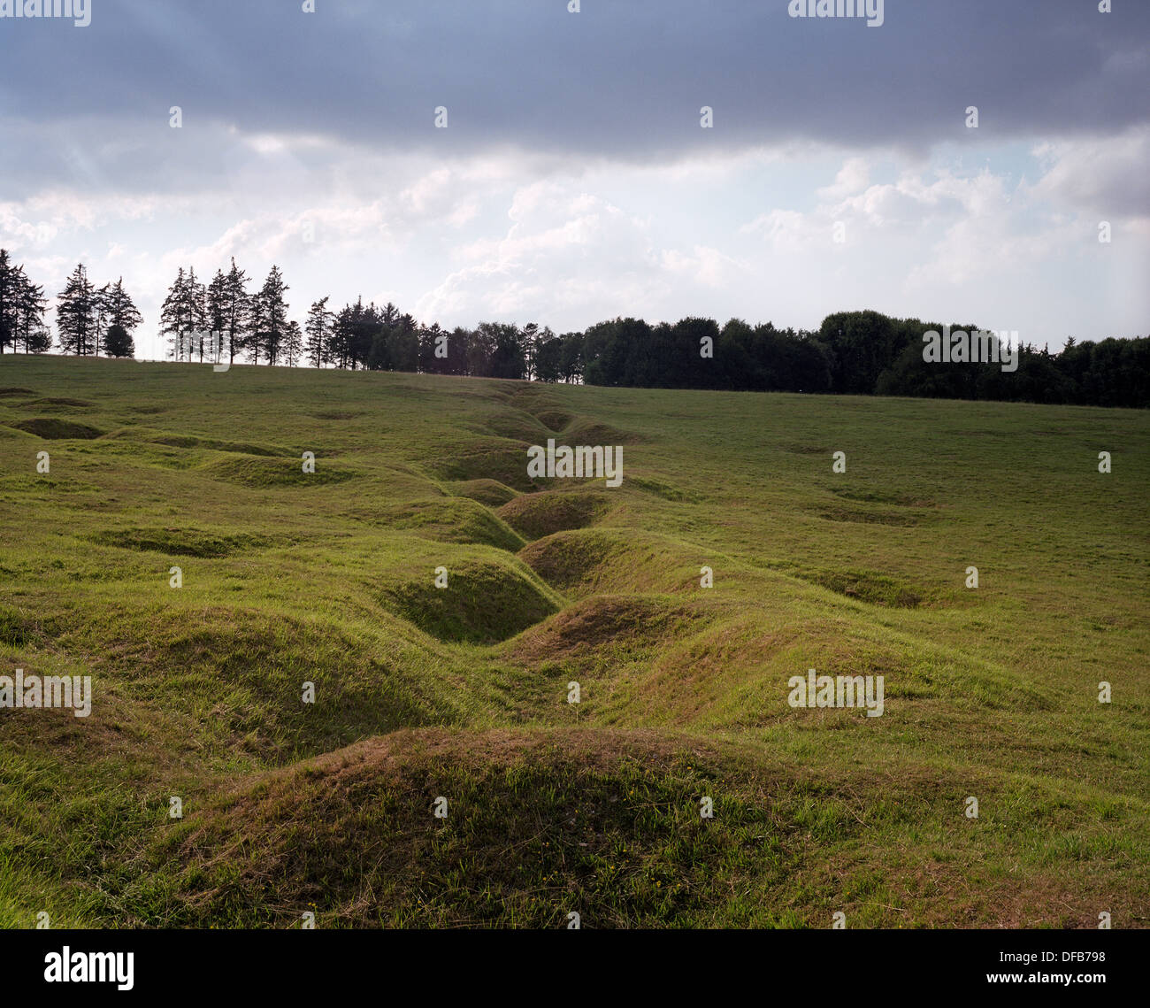 Remains of WW1 shell craters and German trenches at the Beaumont-Hamel ...