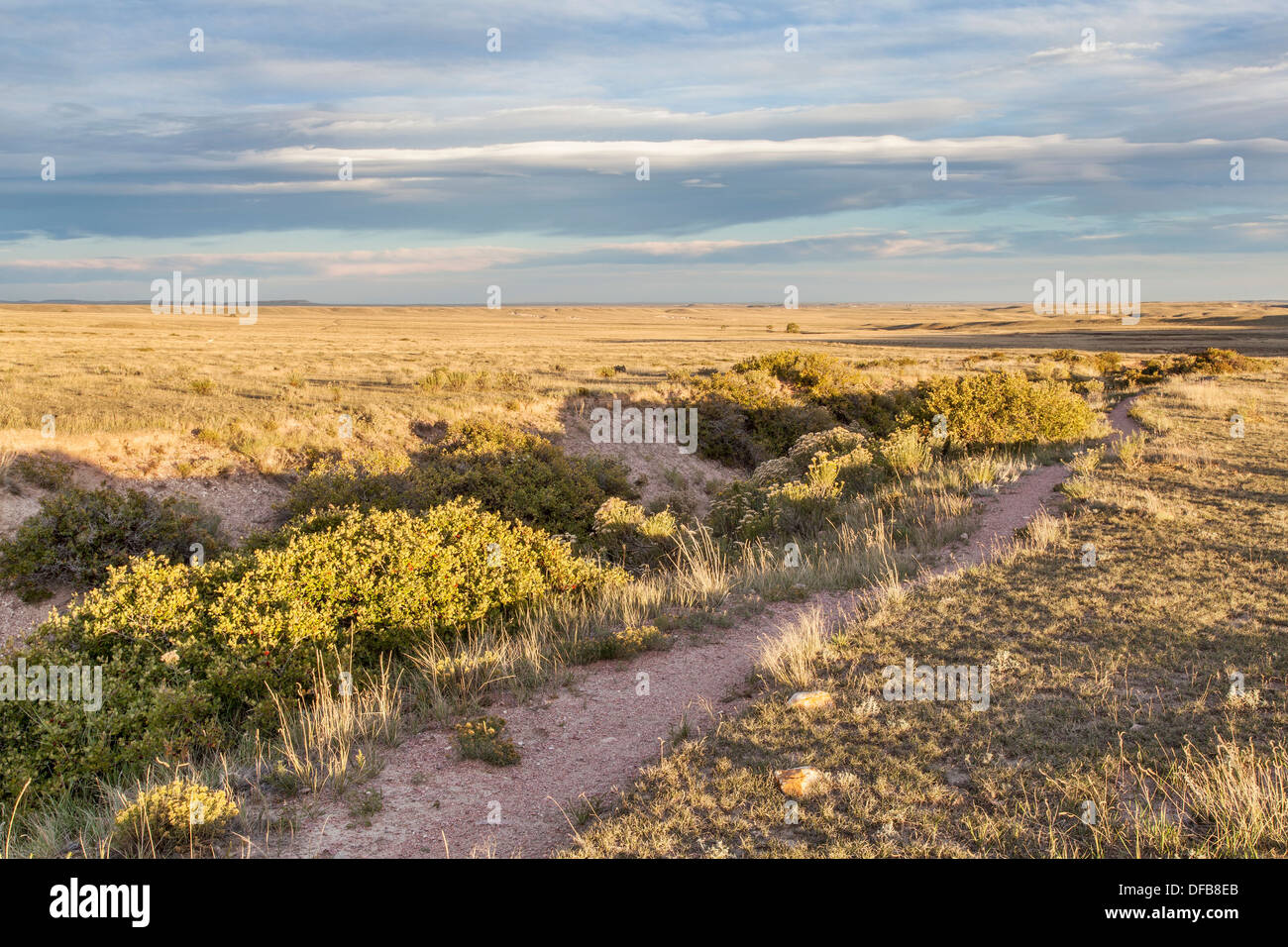 Fall in the prairie hi-res stock photography and images - Alamy