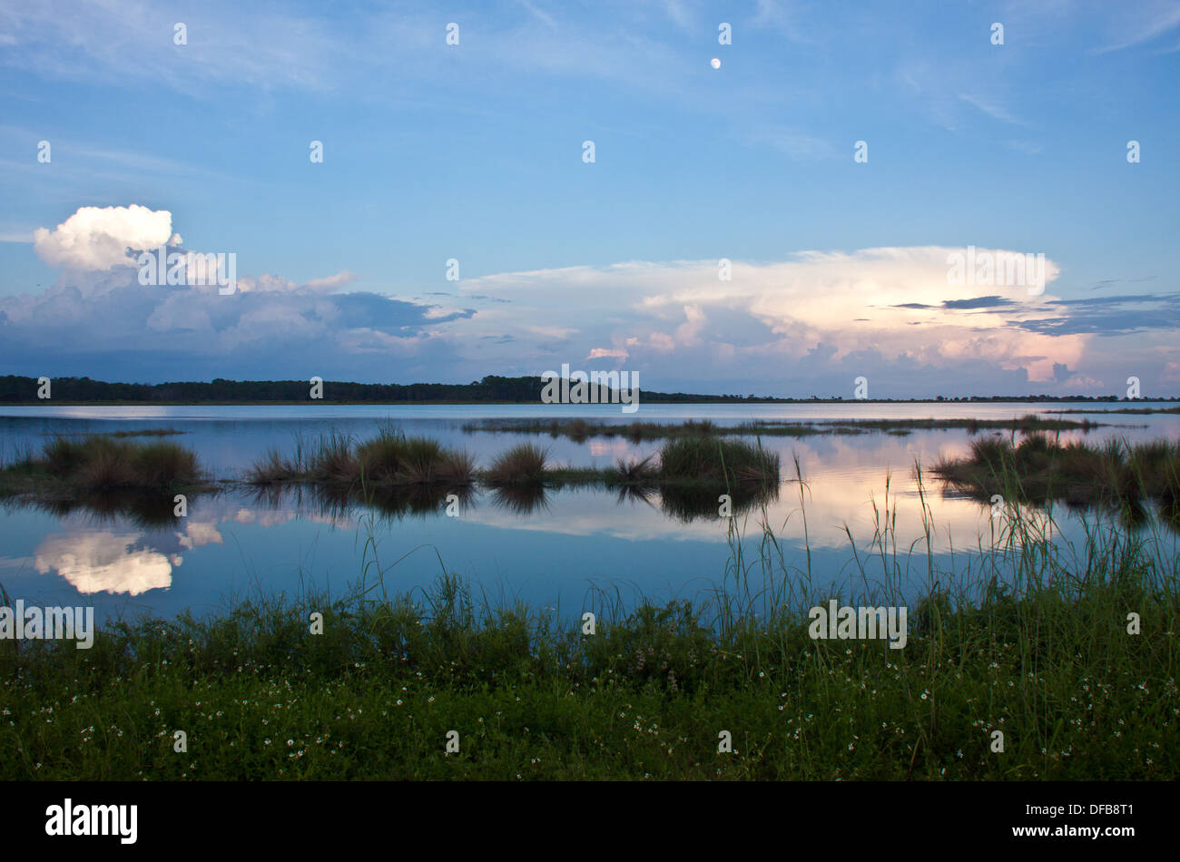 Marsh grass, storm hi-res stock photography and images - Alamy