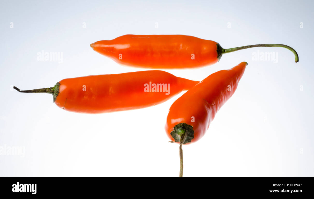 Peruvian yellow pepper ( Capsicum Baccatum Stock Photo - Alamy