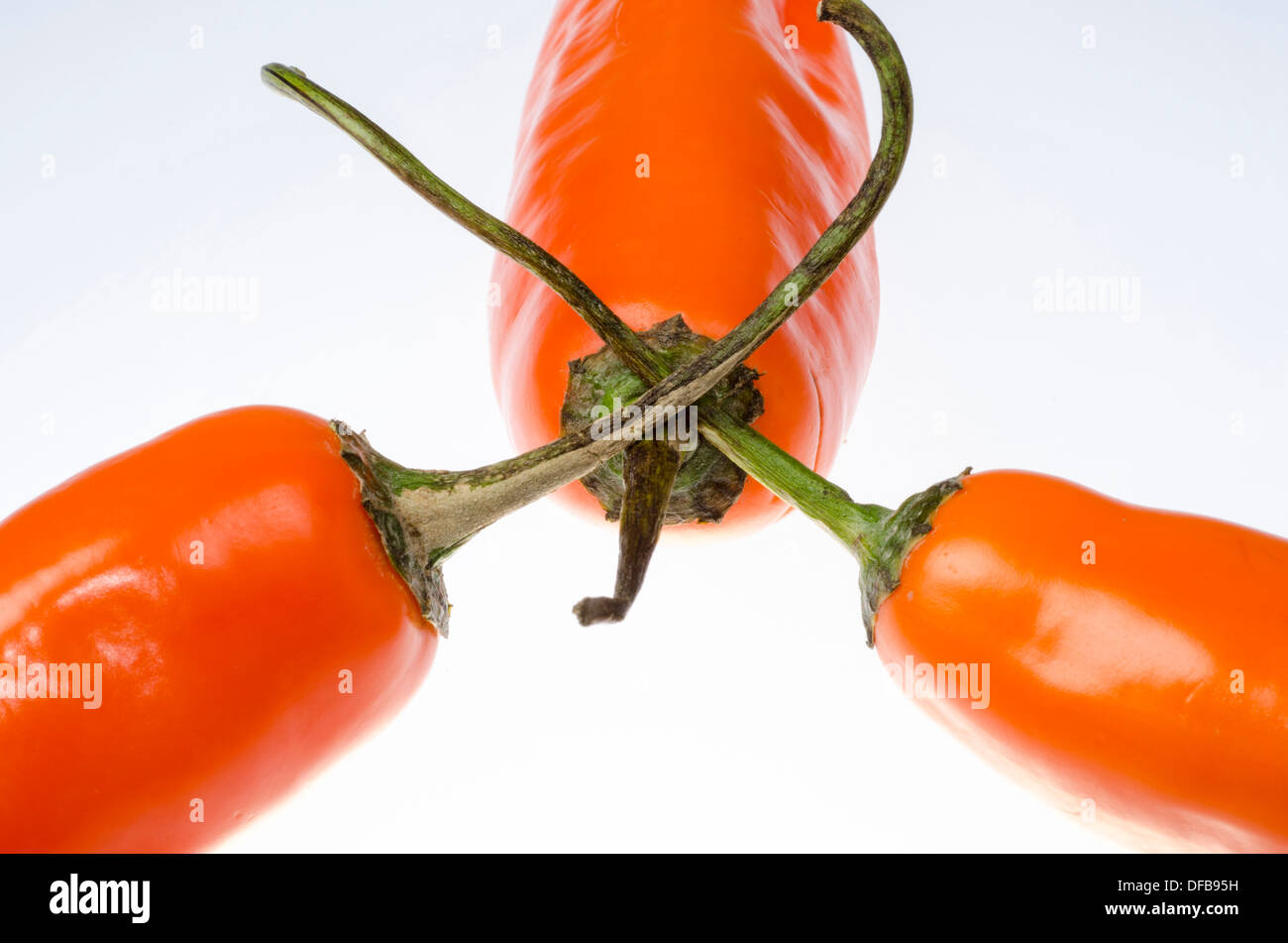 Peruvian pepper hi-res stock photography and images - Alamy