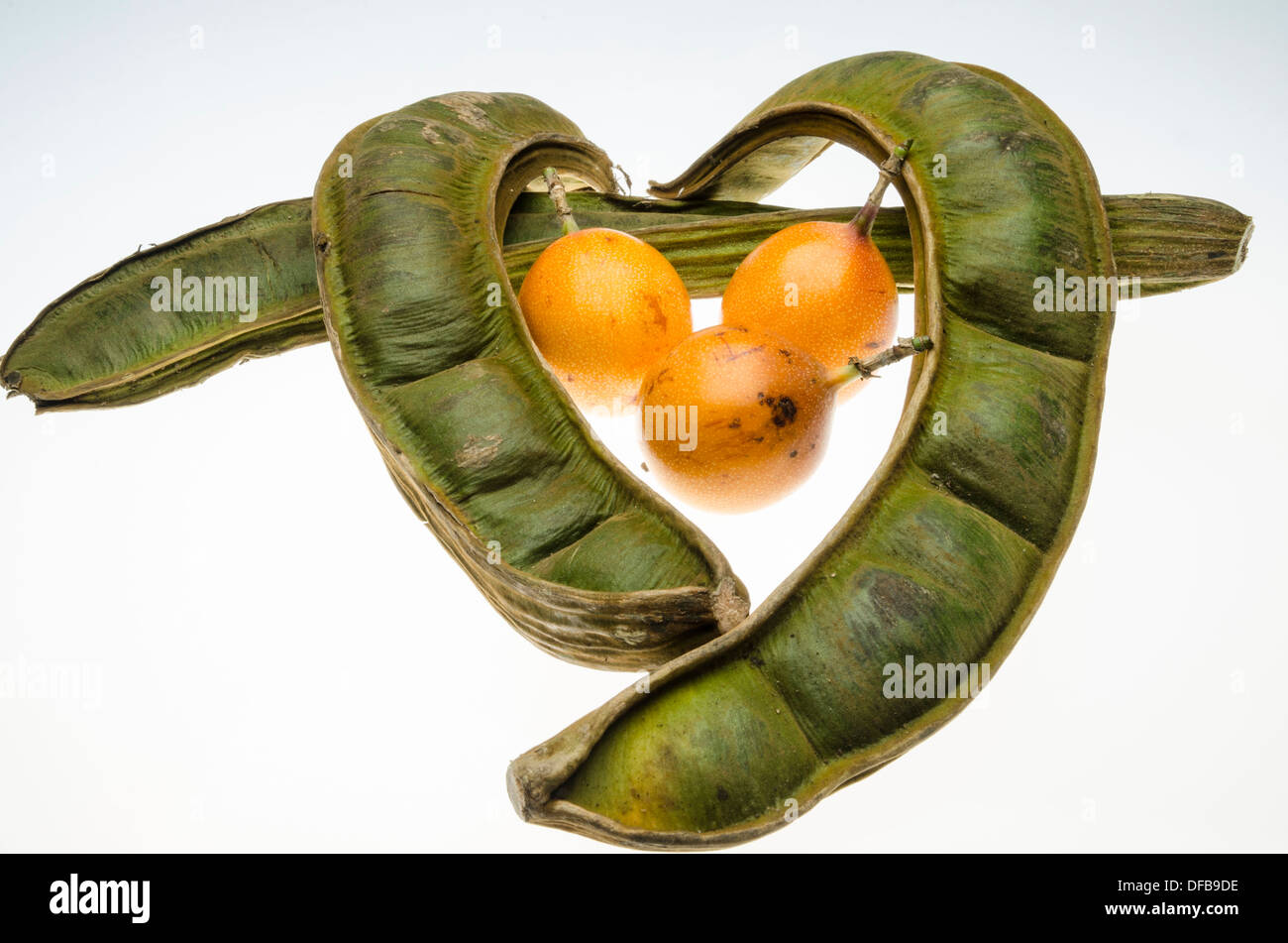 Pacae fruit (Inga brachyptera fruit) and the Sweet granadilla fruit ...