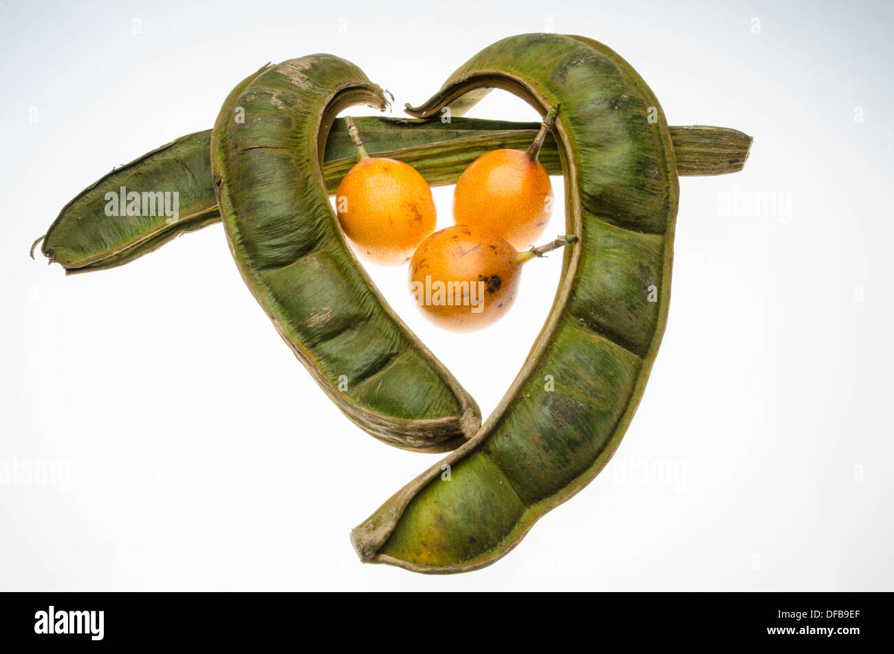 Pacae fruit (Inga brachyptera fruit) and the Sweet granadilla fruit ...