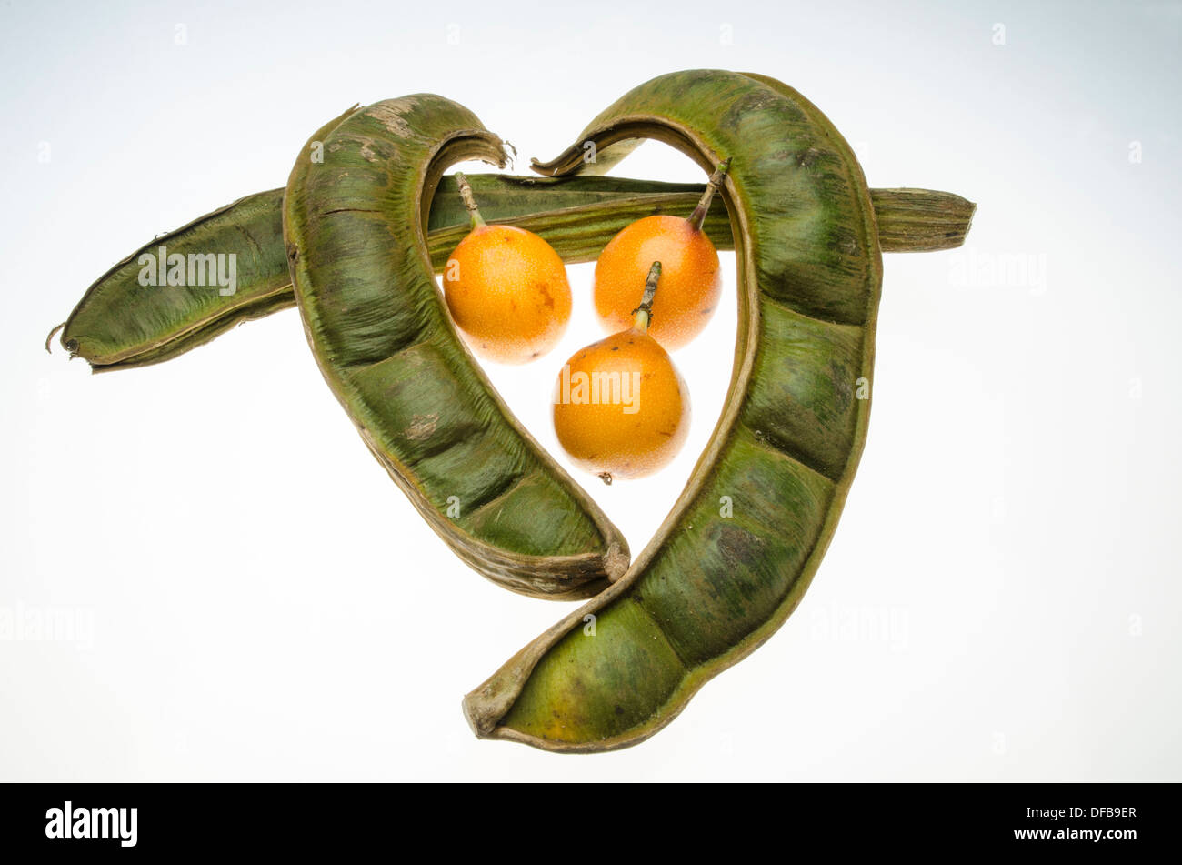 Pacae fruit (Inga brachyptera fruit) and the Sweet granadilla fruit ...