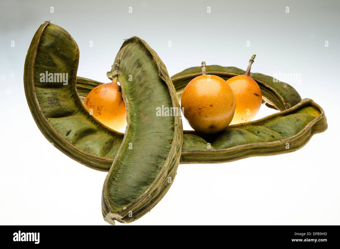 Pacae fruit (Inga brachyptera fruit) and the Sweet granadilla fruit ...