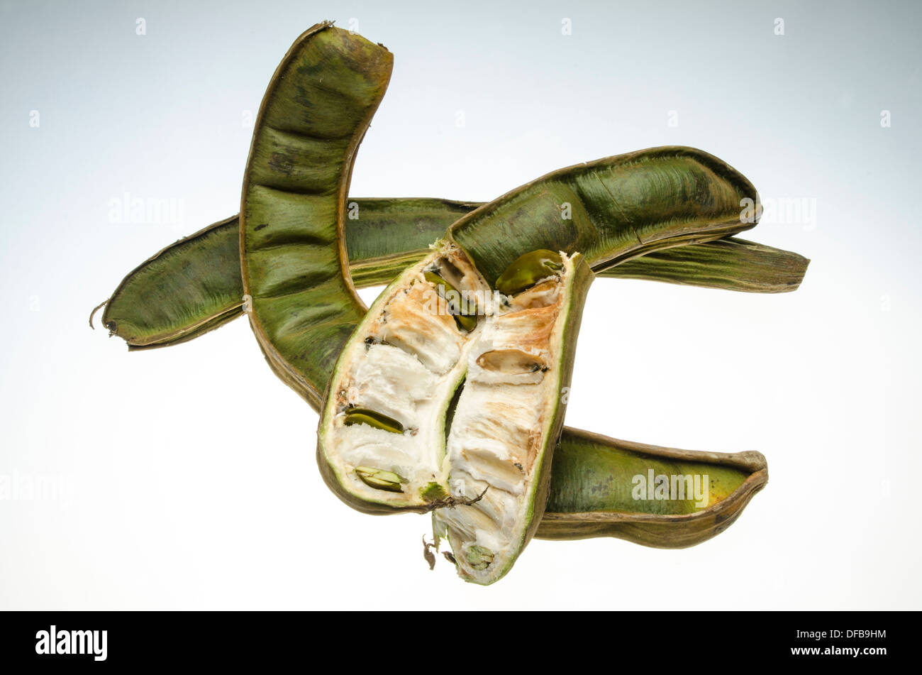 Pacae fruit (Inga brachyptera fruit). Original Peruvian fruit Stock ...