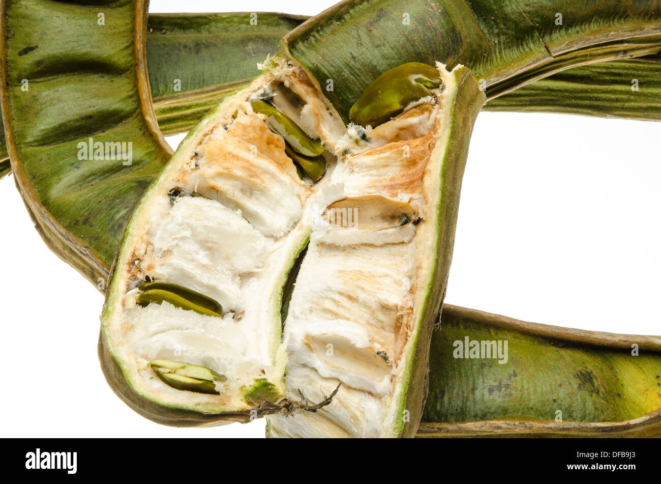 Pacae fruit (Inga brachyptera fruit). Original Peruvian fruit Stock ...