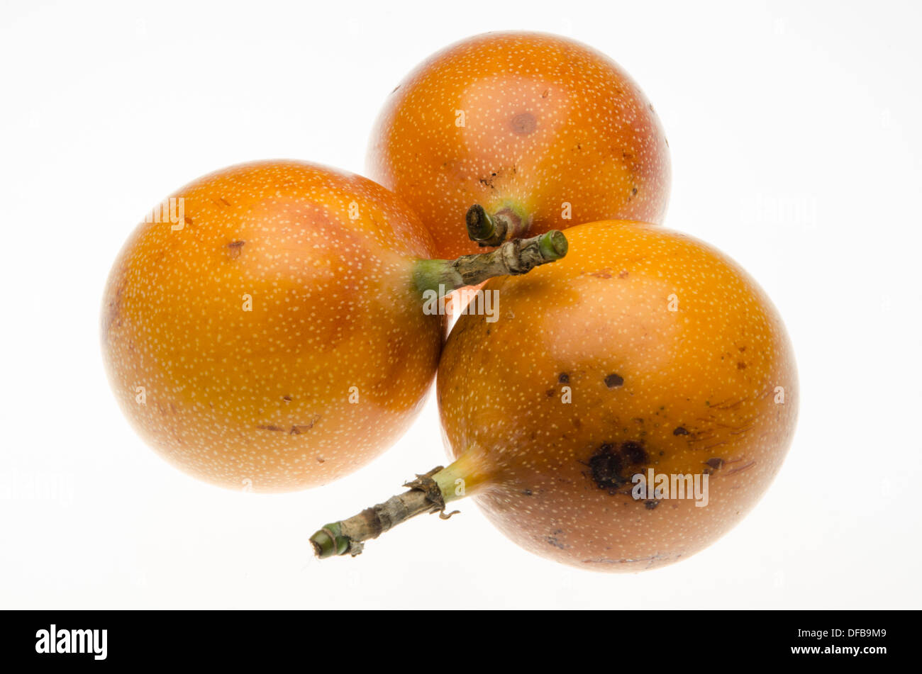 Sweet granadilla or Grenadia (Passiflora ligularis fruit Stock Photo ...