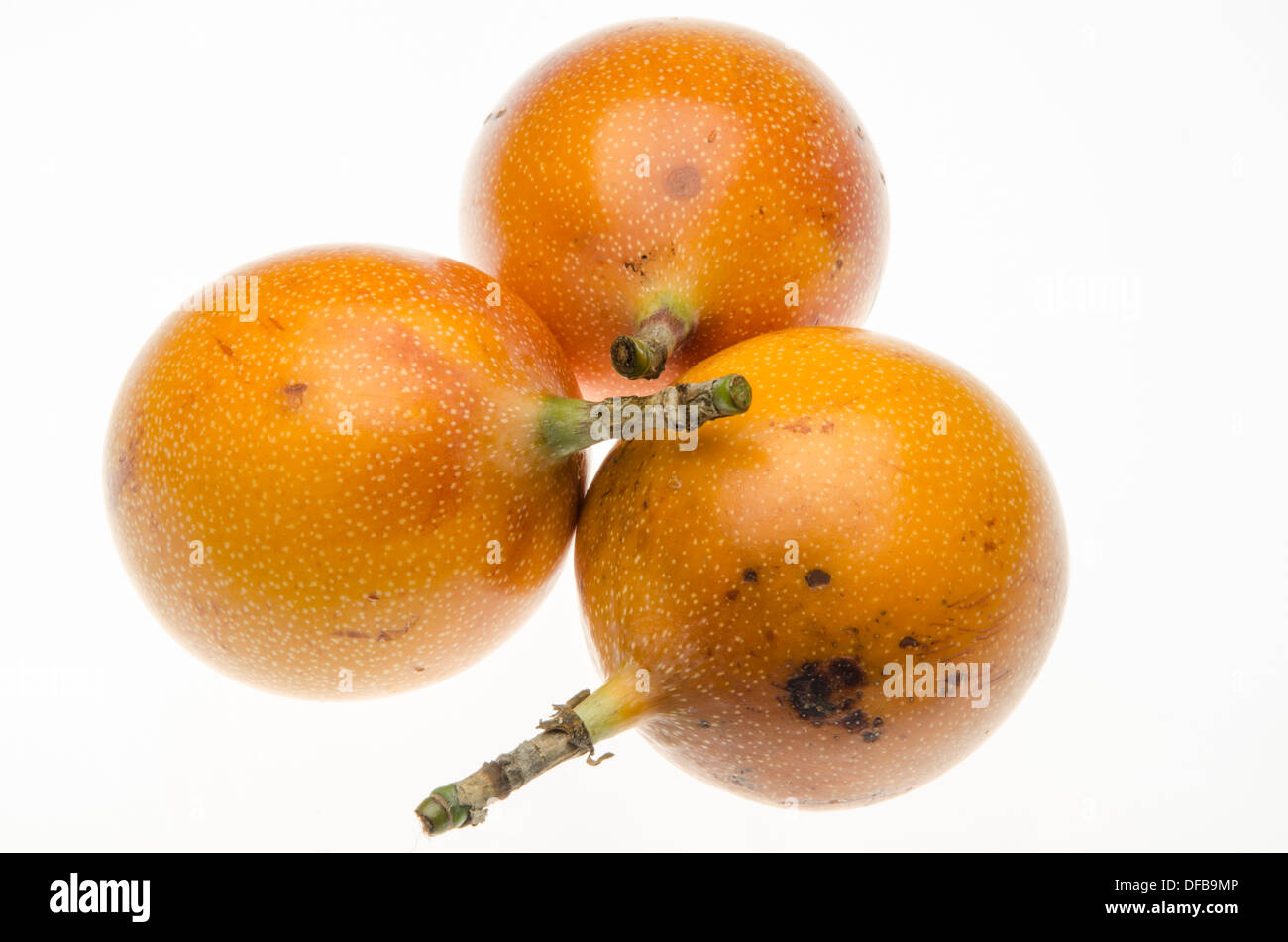 Sweet granadilla or Grenadia (Passiflora ligularis fruit Stock Photo ...