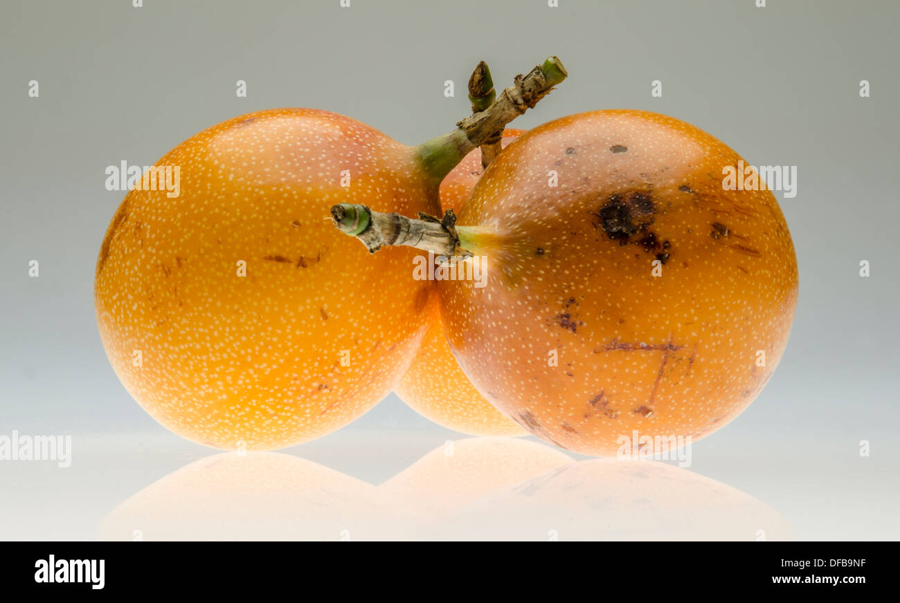 Sweet granadilla or Grenadia (Passiflora ligularis fruit Stock Photo ...