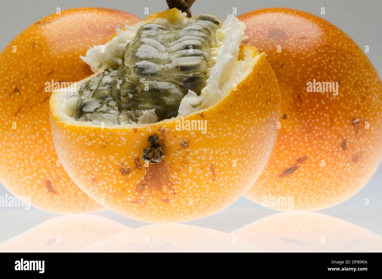 Sweet granadilla or Grenadia (Passiflora ligularis fruit Stock Photo ...