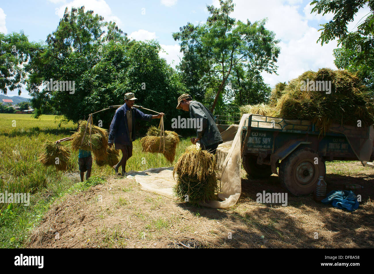 Farmer harvest hi-res stock photography and images - Alamy