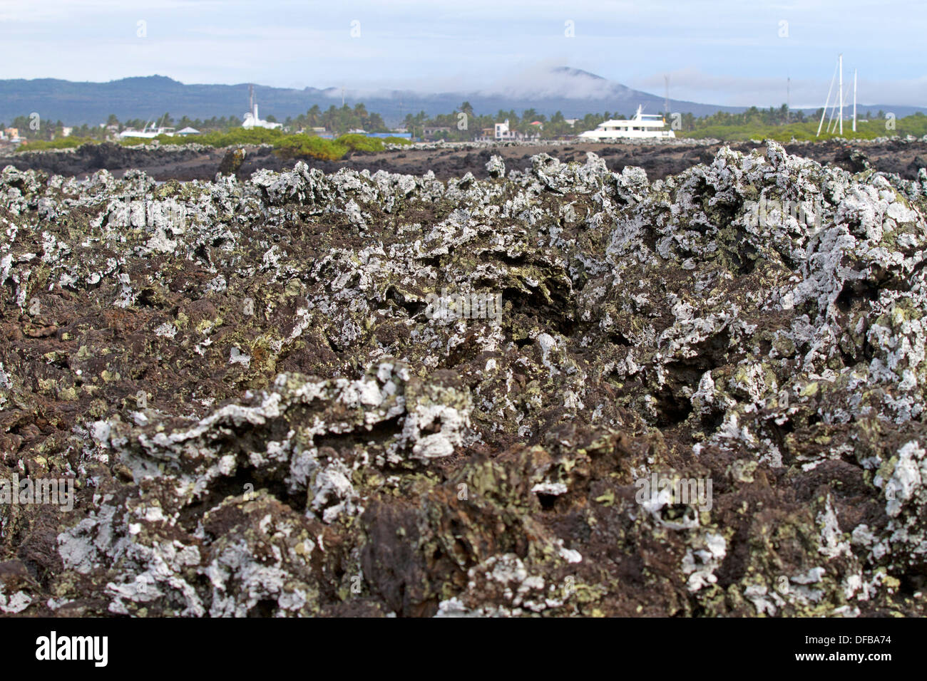 Isabela island hi-res stock photography and images - Alamy