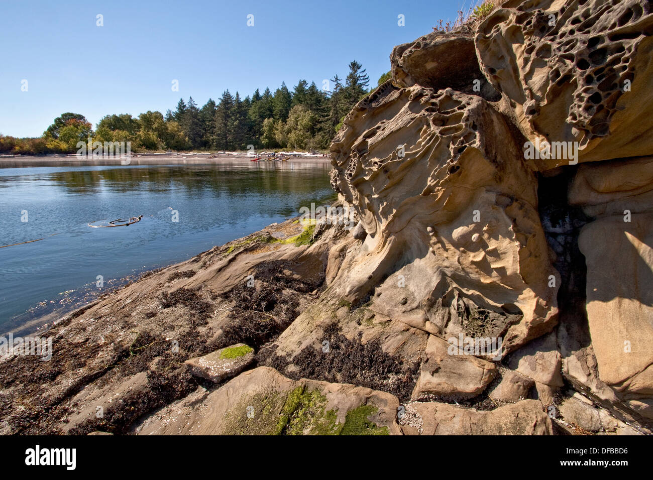 Sucia island hi-res stock photography and images - Alamy