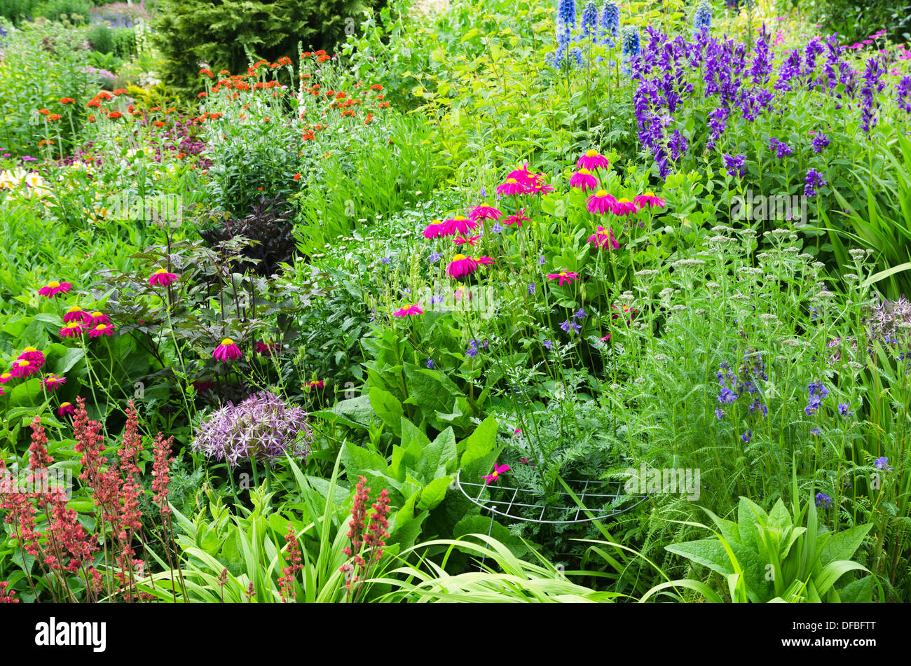 Perennial flower bed hi-res stock photography and images - Alamy
