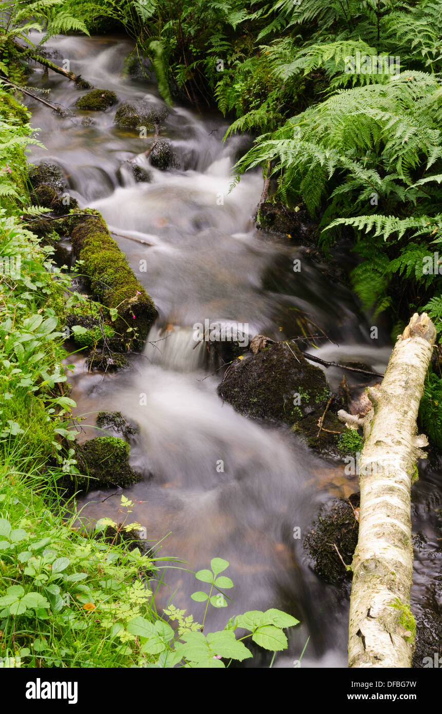 Woodland stream and waterfall Stock Photo - Alamy