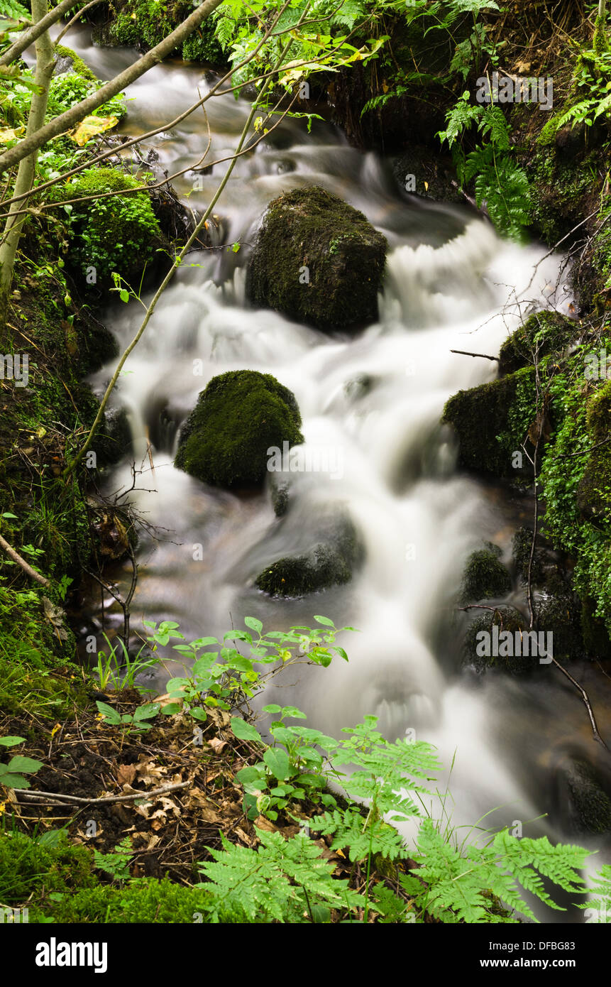 Woodland stream and waterfall Stock Photo - Alamy