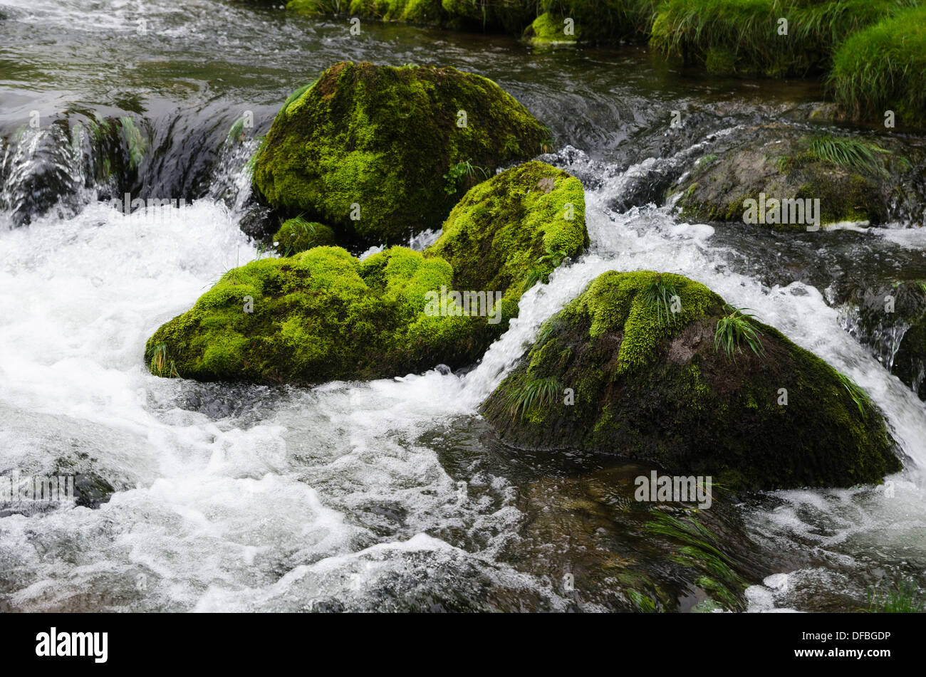 Stream with flowing water hi-res stock photography and images - Alamy