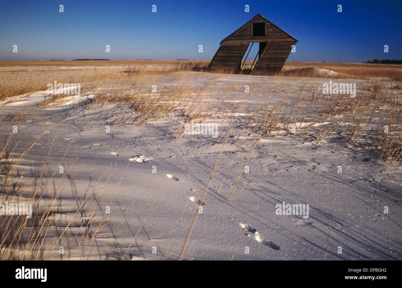 Lean old farm building in hi-res stock photography and images - Alamy