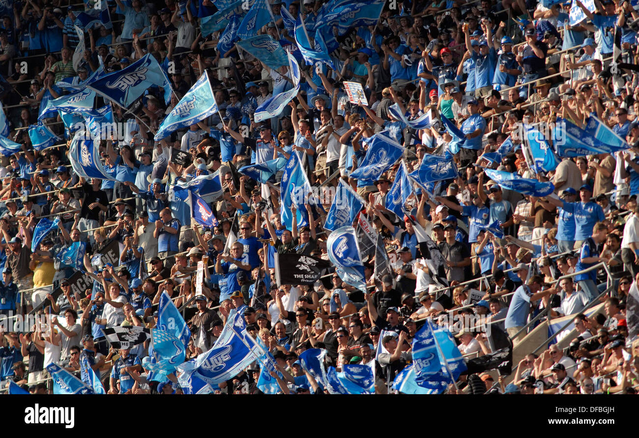 Bulls sharks rugby south africa hi-res stock photography and images - Alamy