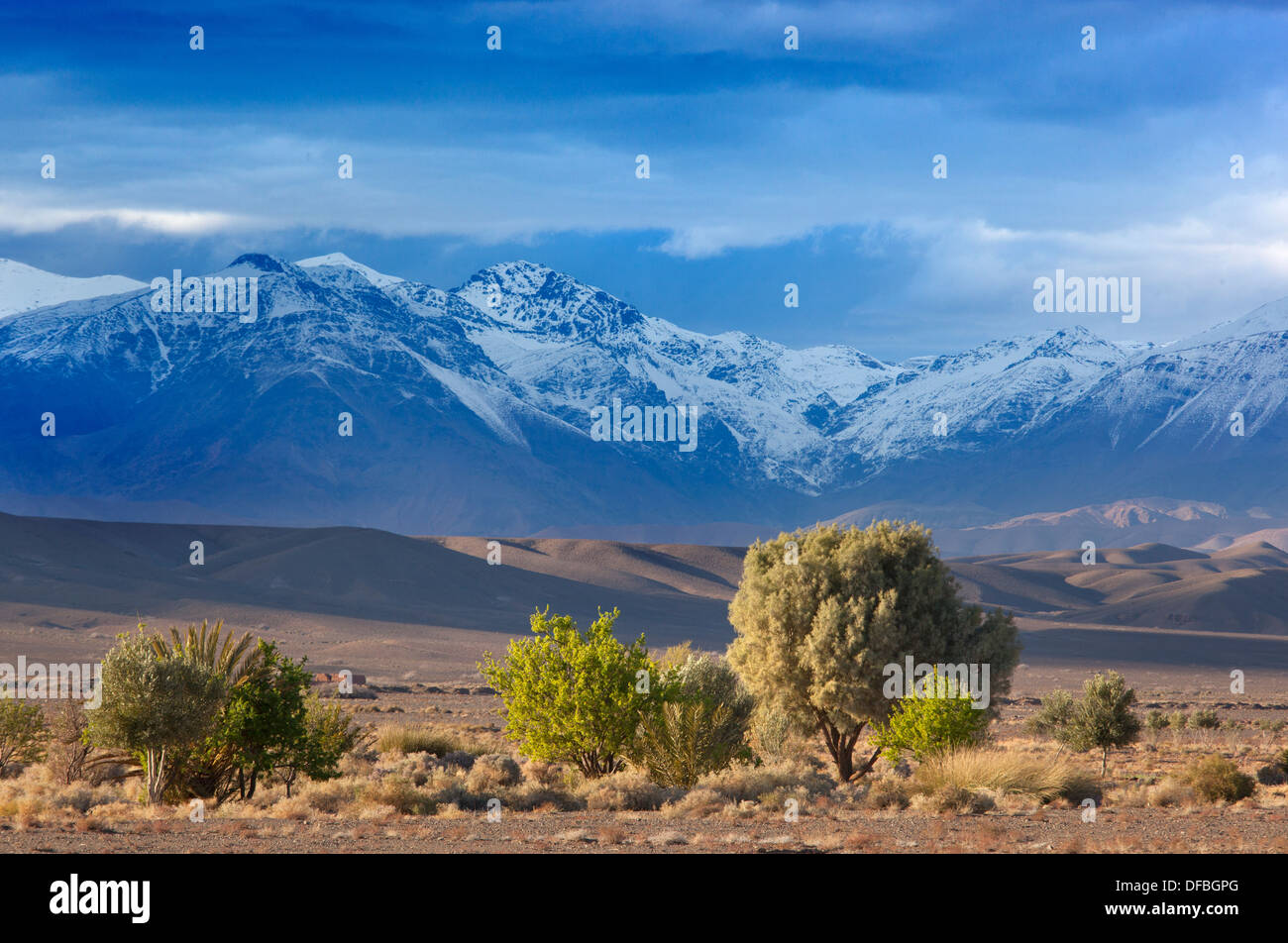 Skoura morocco oasis hi-res stock photography and images - Alamy