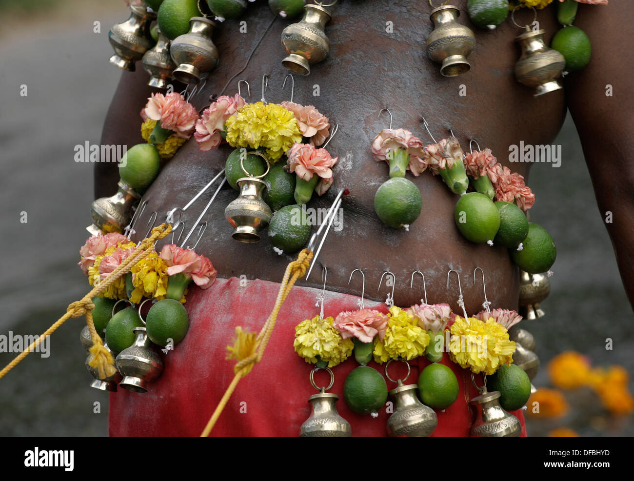 A Hindu devotee with his cheeks pierced with a metal skewer carries a ...