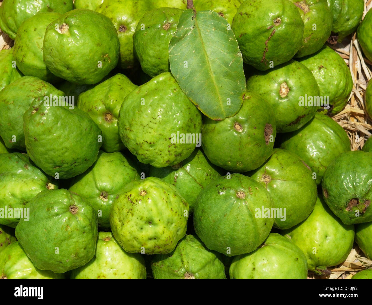Guajavas hi-res stock photography and images - Alamy