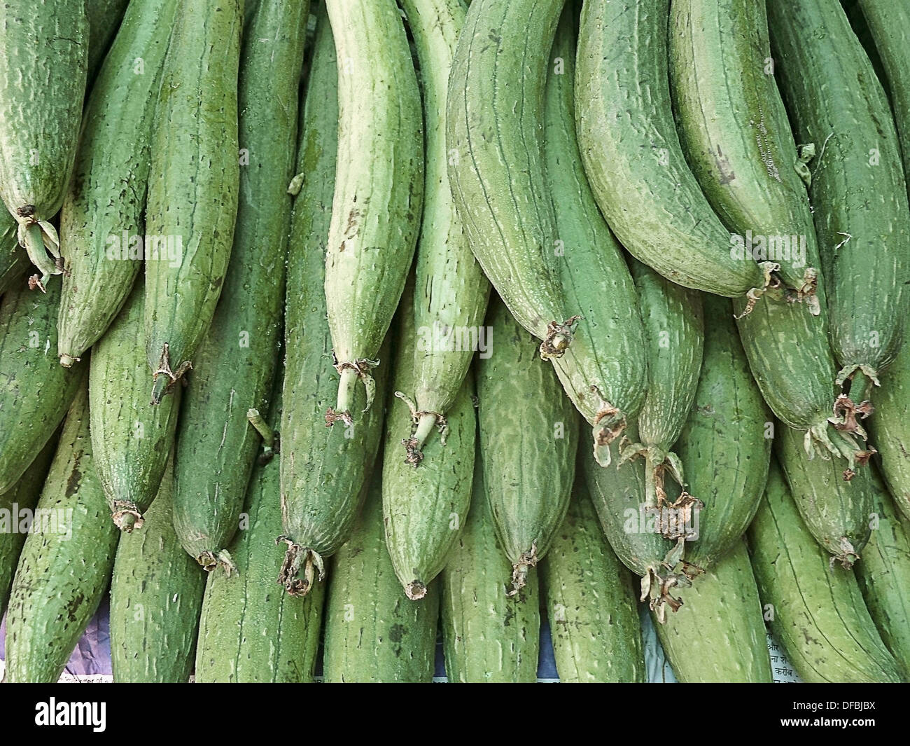 Luffa cylindrica hi-res stock photography and images - Alamy