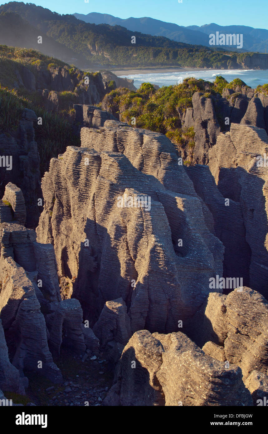 Pancake Rocks at Punakaiki South Island New Zealand Stock Photo - Alamy
