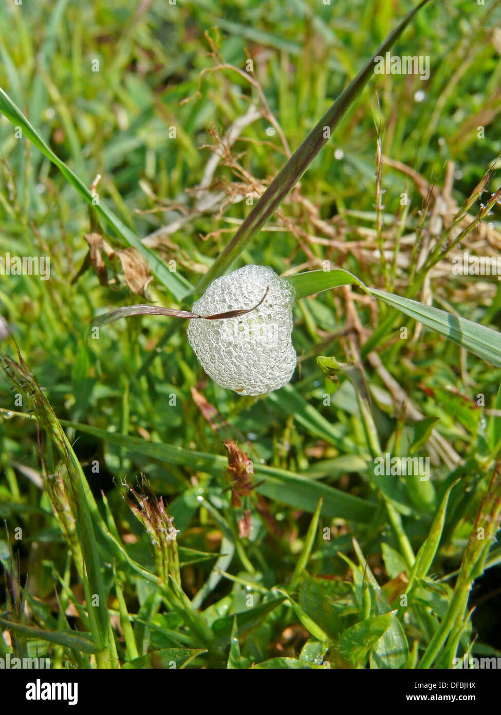 India Talegaon High Resolution Stock Photography and Images - Alamy