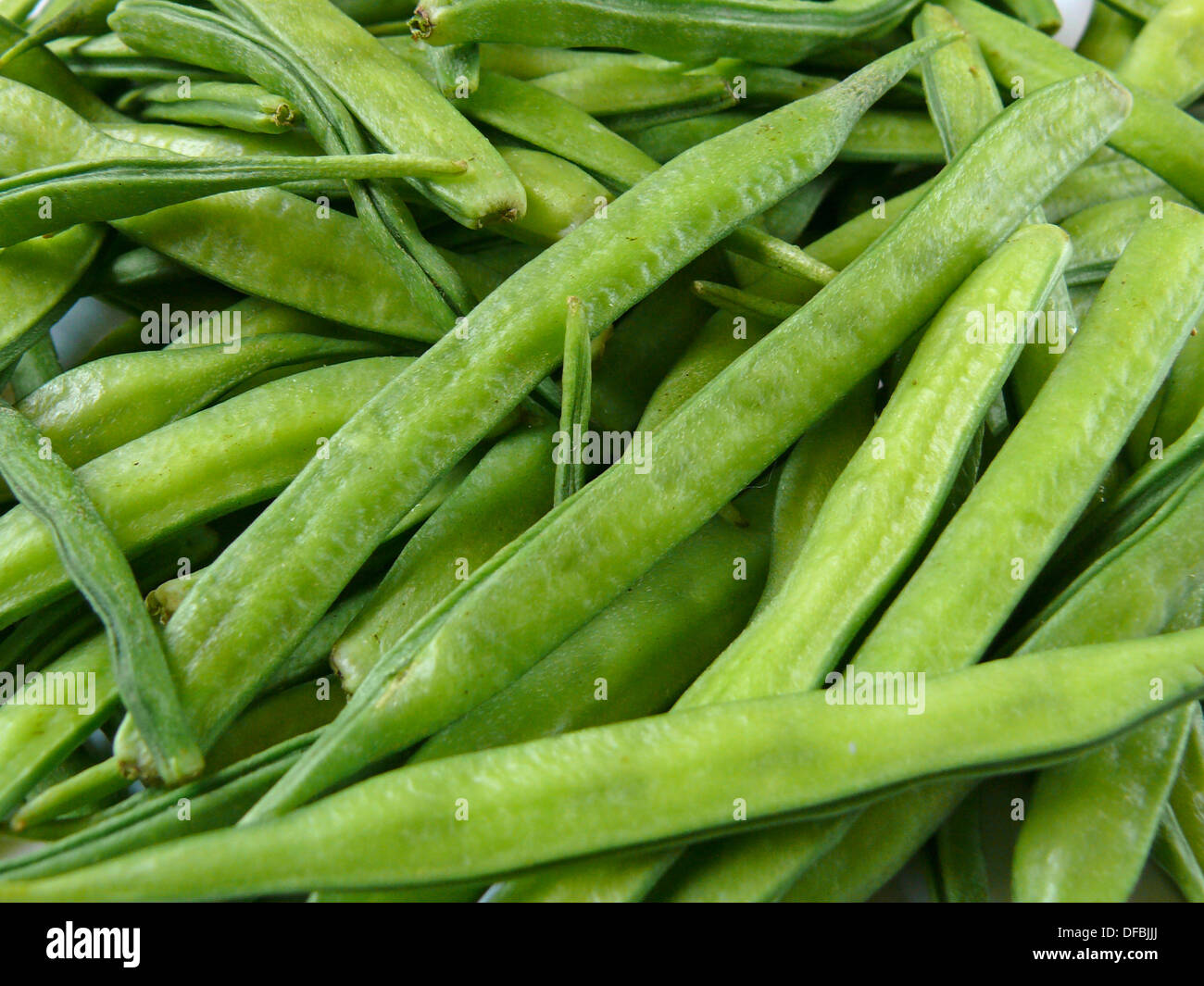 Cyamopsis tetragonoloba hi-res stock photography and images - Alamy