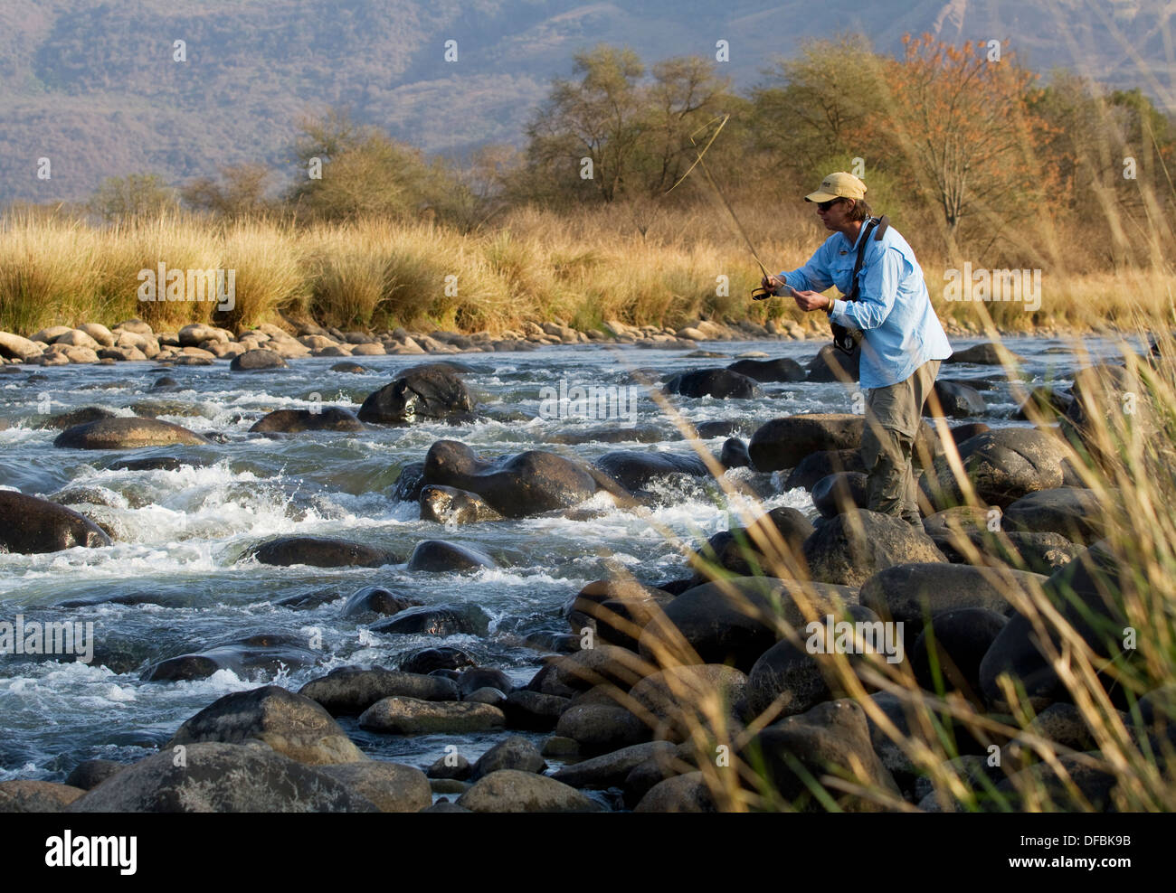 Fly fishing for KwaZulu Natal yellow fish (labeobarbus natalensis) also ...
