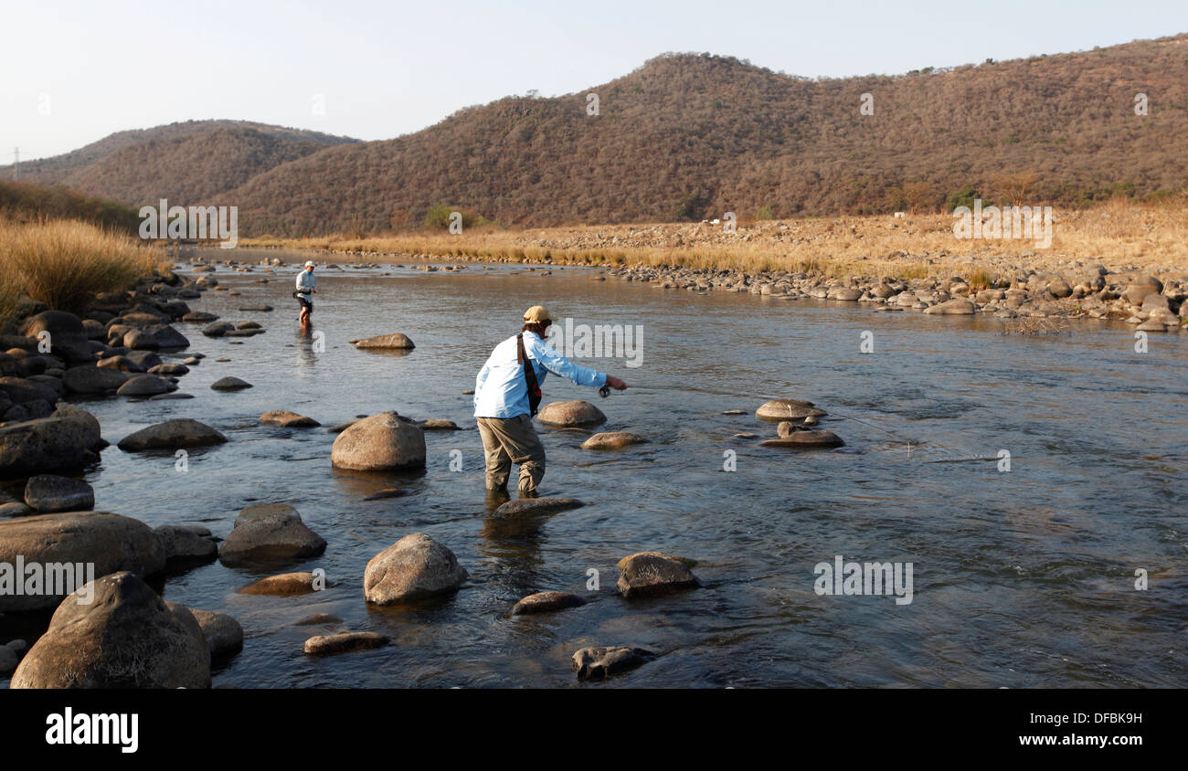 Scaly fish hi-res stock photography and images - Alamy