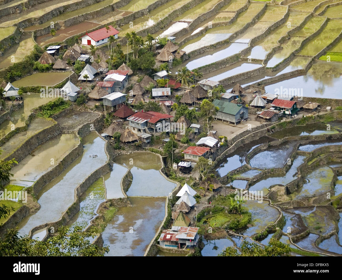 water filled rice terraces surround the Ifugao village of Batad, a ...