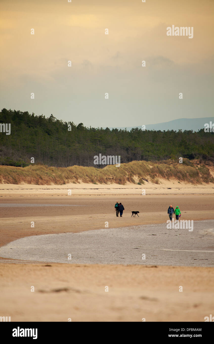 Dog walkers and walkers enjoying the first day of unrestricted dog ...