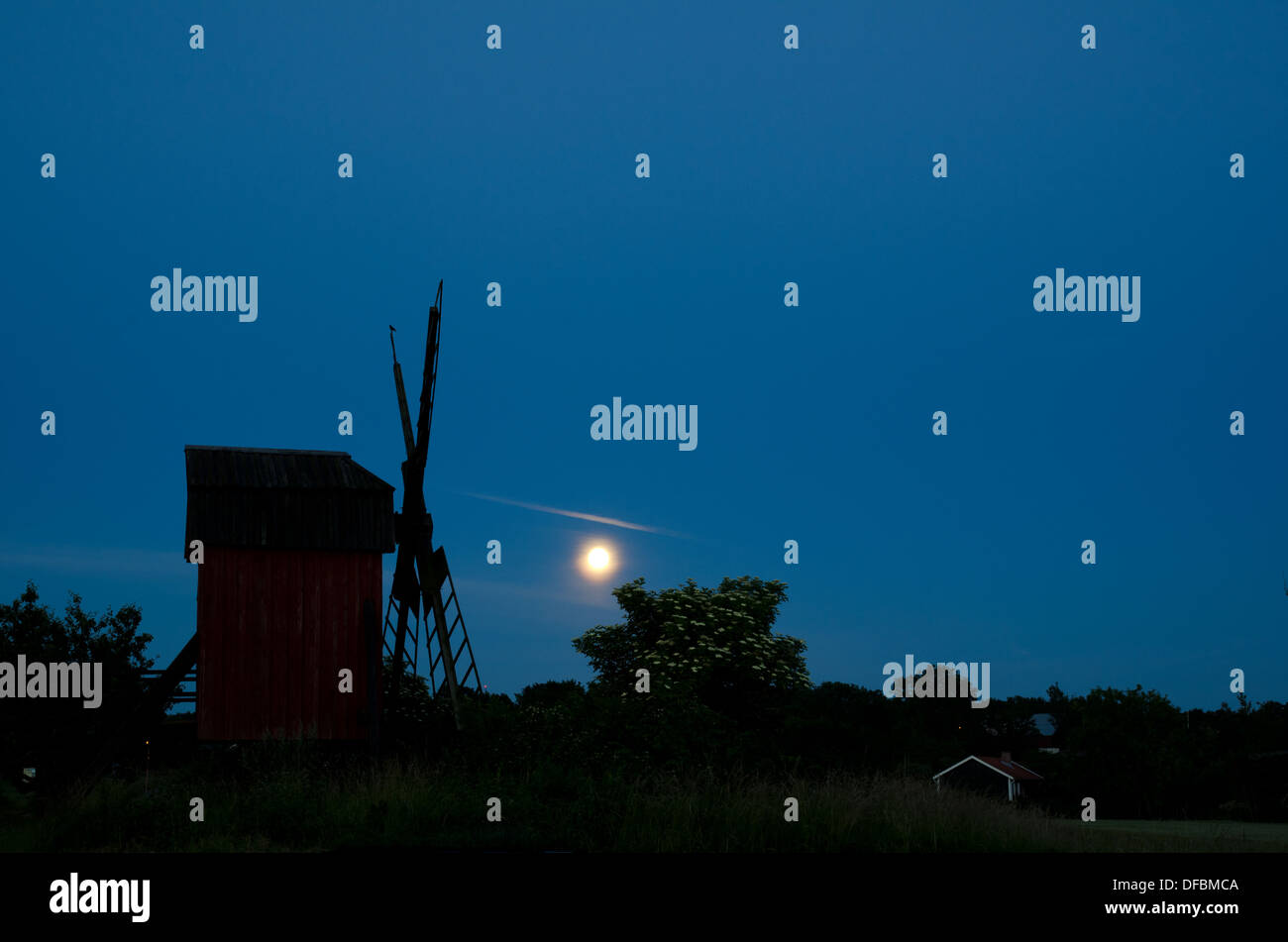 Moon over windmill and blossom elder tree Stock Photo - Alamy